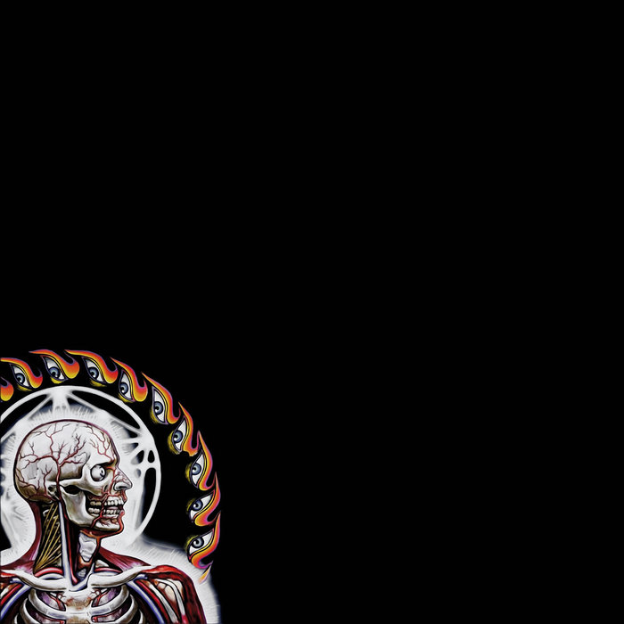 Lateralus: A Reinterpretation | Cory Strand