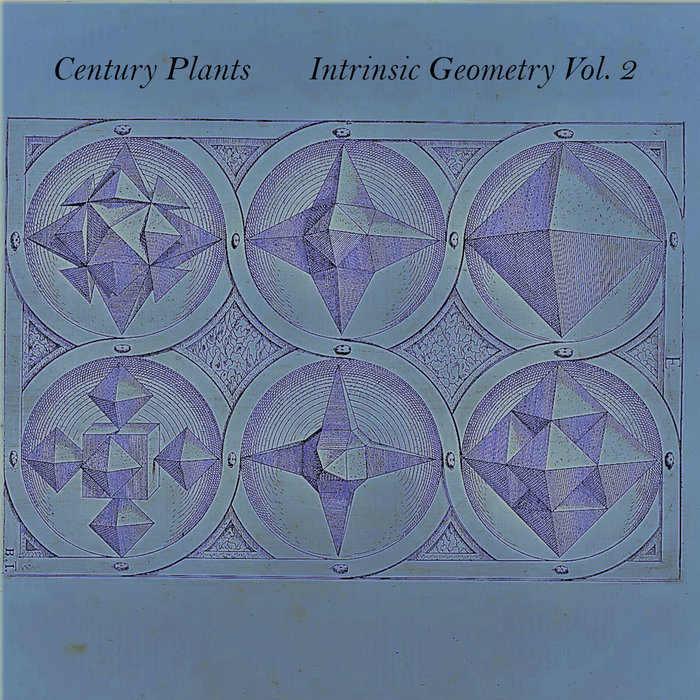 Intrinsic Geometry Vol. 2 | Century Plants