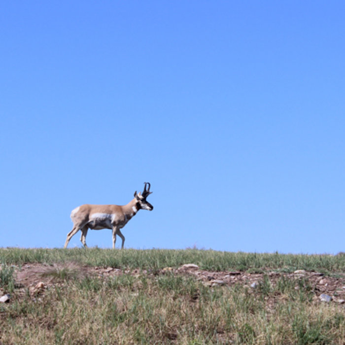 Anchor Sleep | sean marshall | Sean Marshall