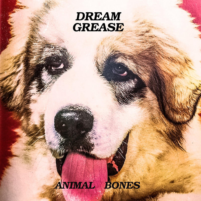 Animal Bones | DREAM GREASE