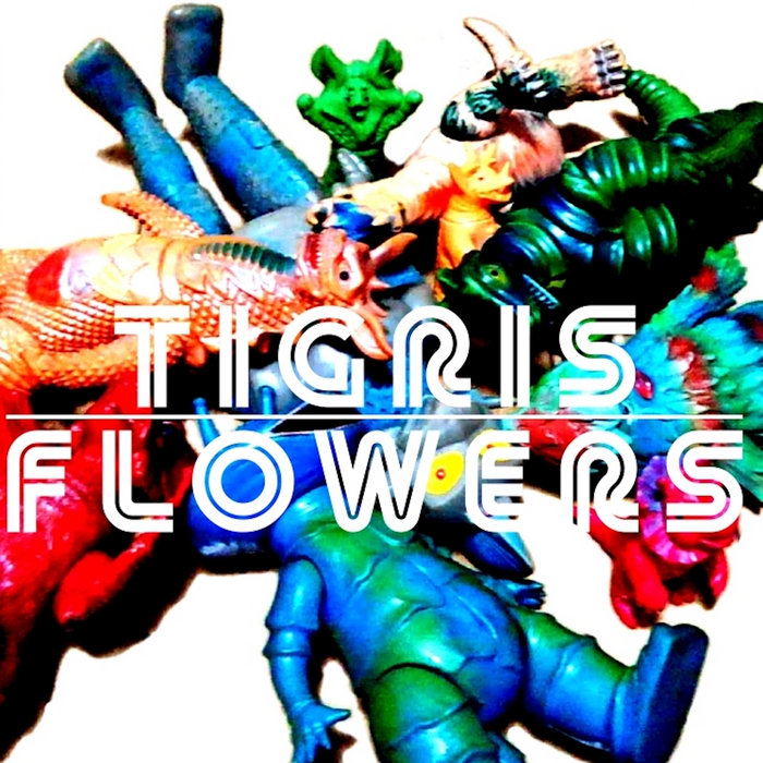 TIGRIS FLOWERS | TIGRIS FLOWERS | Mitsuru Tabata