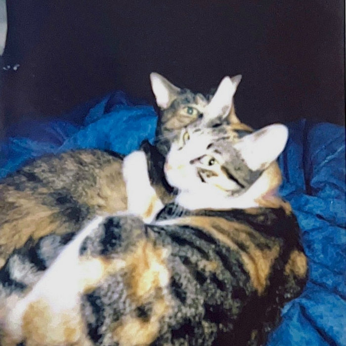 Sweet Caroline | Mr Floyd Larry