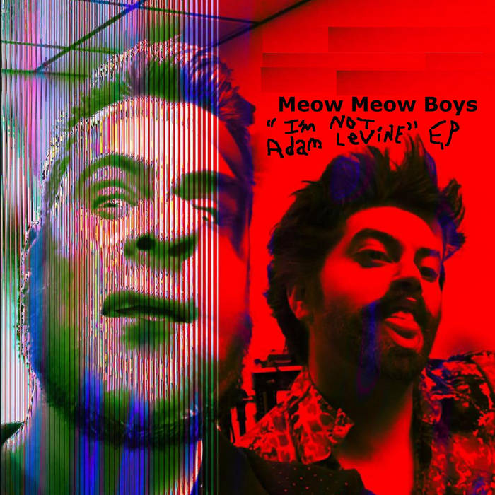 MEOW MEOW BOYS "I'm Not Adam Levine" EP | Meow Meow Boys | TICKED OFF TAPES