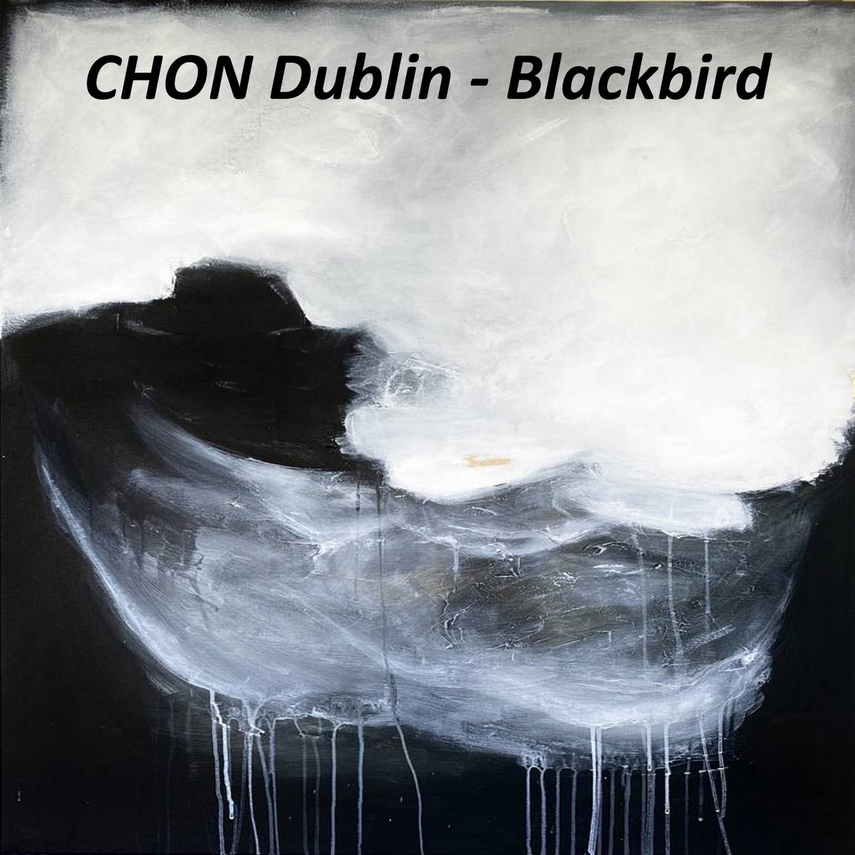 Blackbird | CHON Dublin