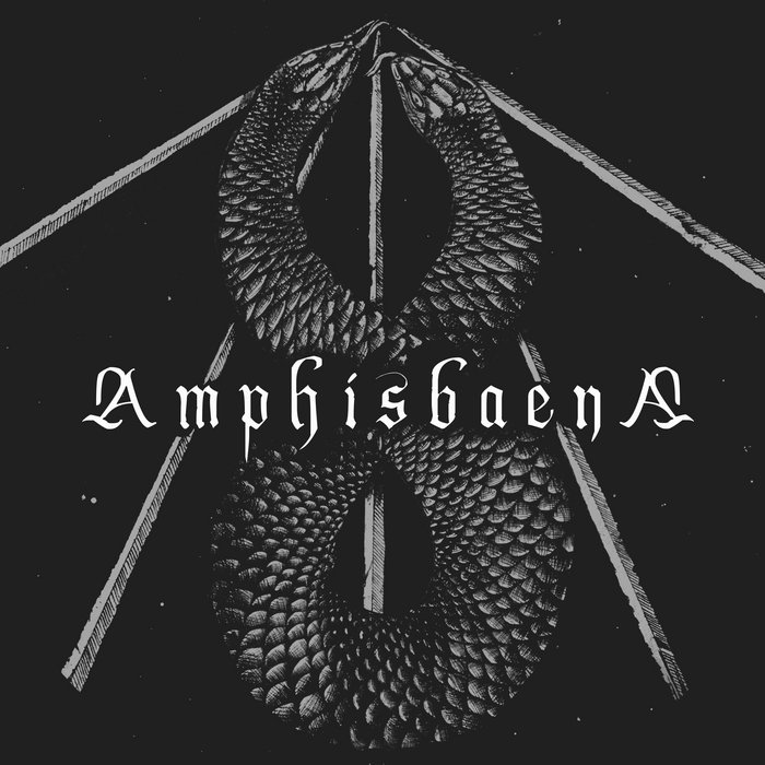 Amphisbaena E.P. | Amphisbaena