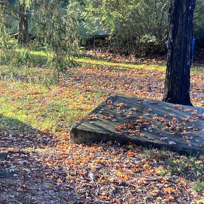 i fell into a sort of trance | Neptune Machine