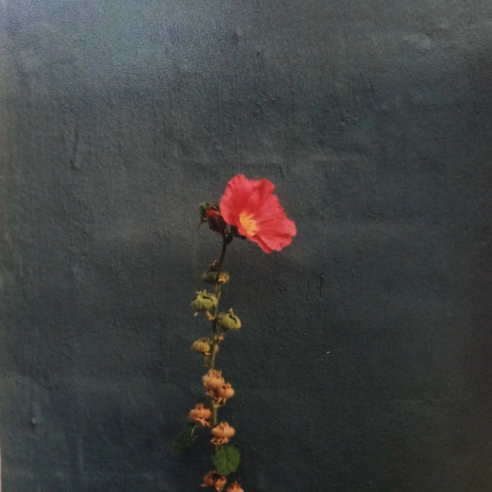 Endless Nothing | TWGX