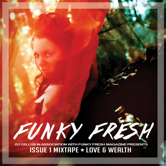 Funky Fresh Magazine Issue 1 The Love & Wealth Mixtape | Funky Fresh ...