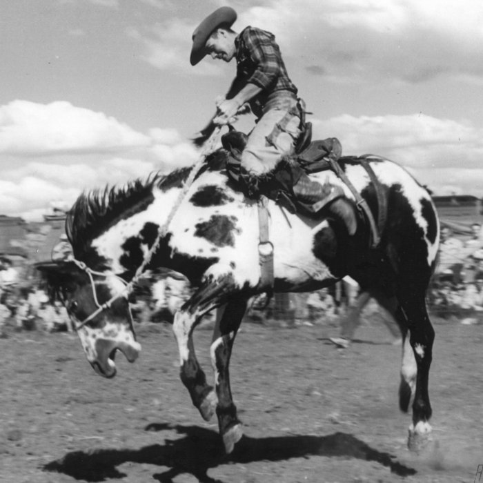 Wayward Man | The Drifter