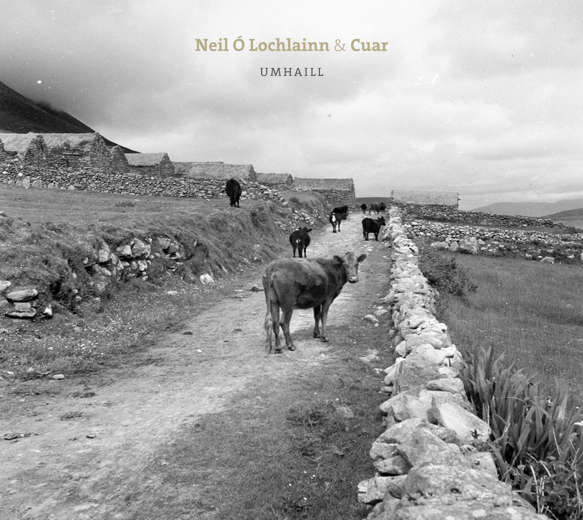 Umhaill | Neil Ó Lochlainn & Cuar | Neil Ó Lochlainn