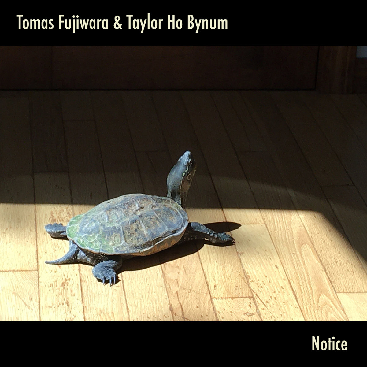 Notice | Tomas Fujiwara & Taylor Ho Bynum | Taylor Ho Bynum & Tomas ...