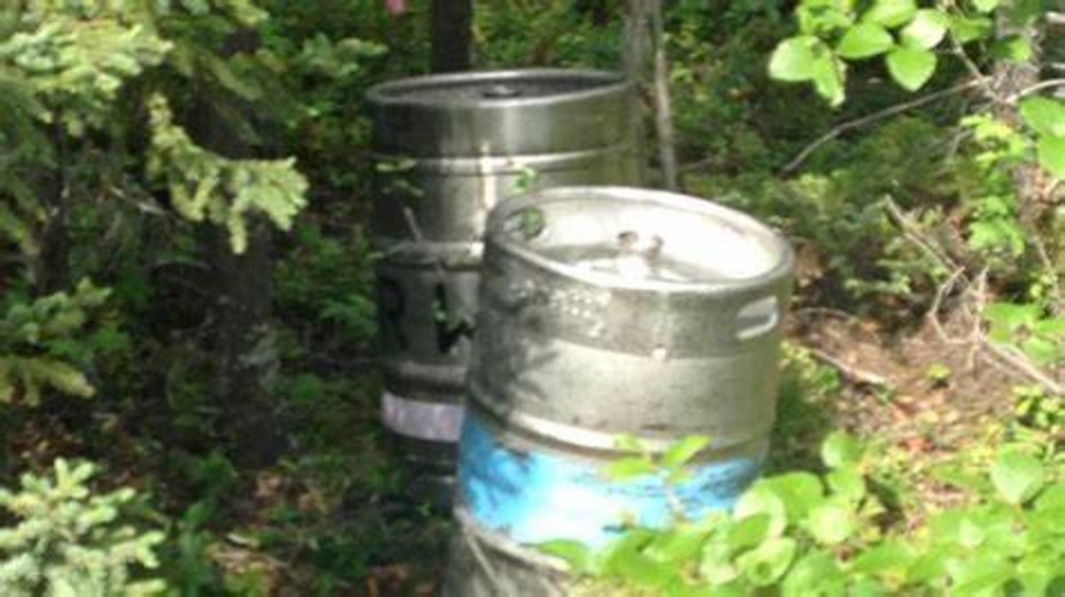 Havertown Music Compilation: Kegs In The Woods | volume 21 | Out In The ...