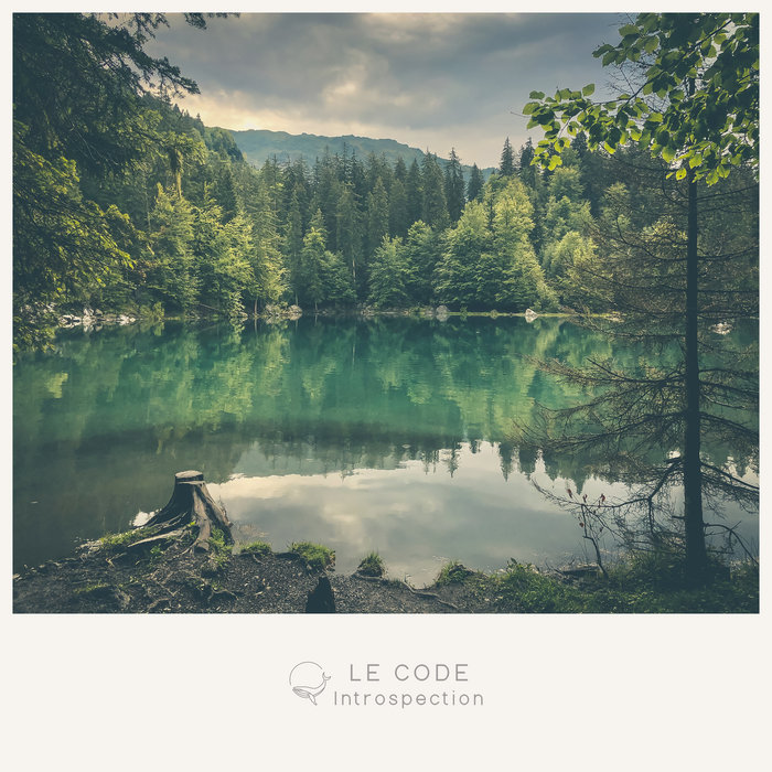 Introspection | Le Code