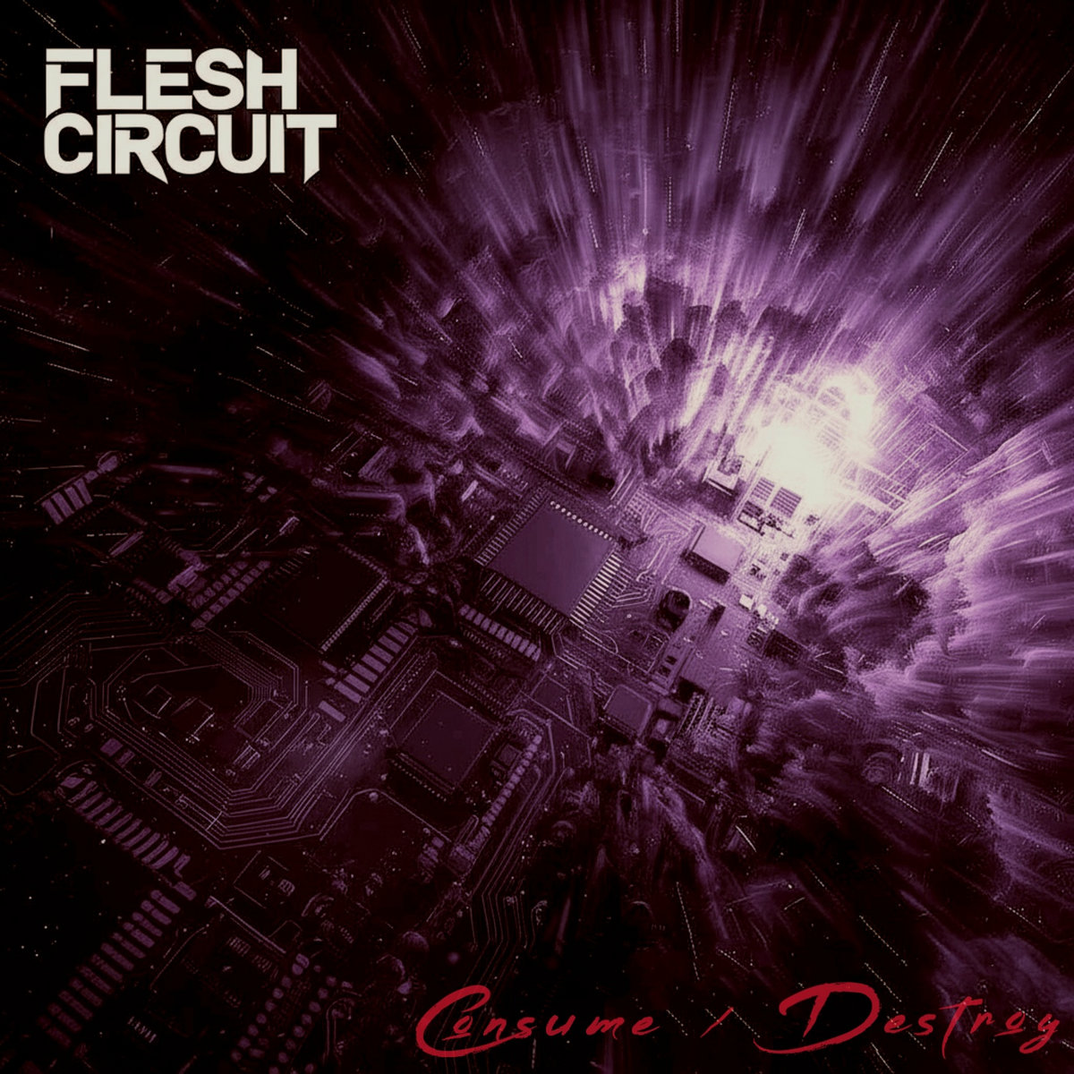 Consume / Destroy | Flesh Circuit