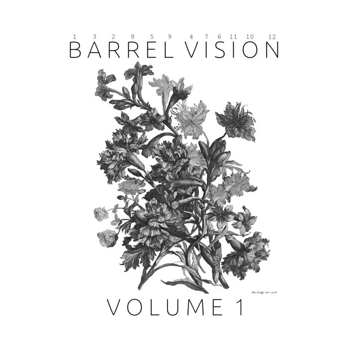 Deviations | Barrel Vision