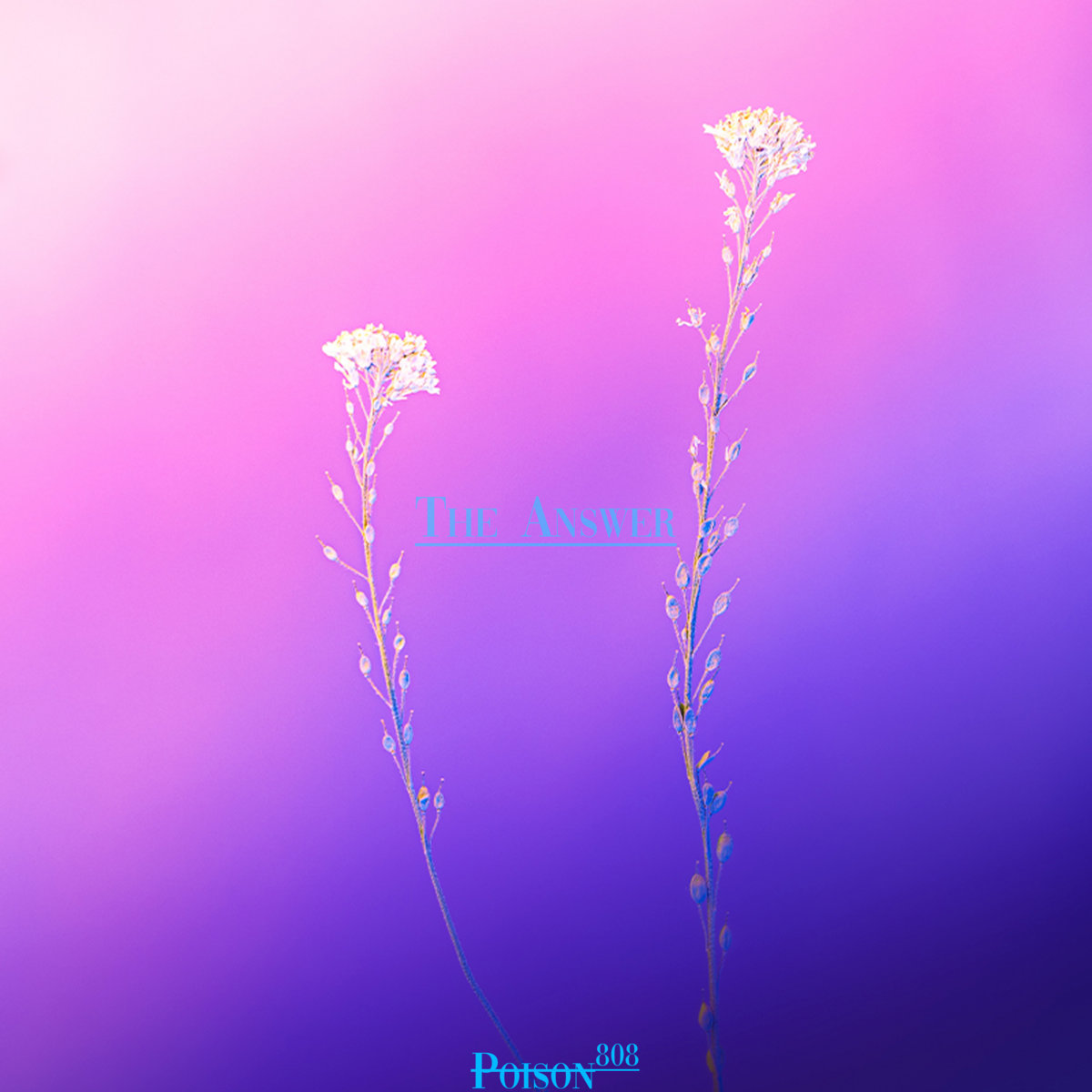 The Answer | Poison808