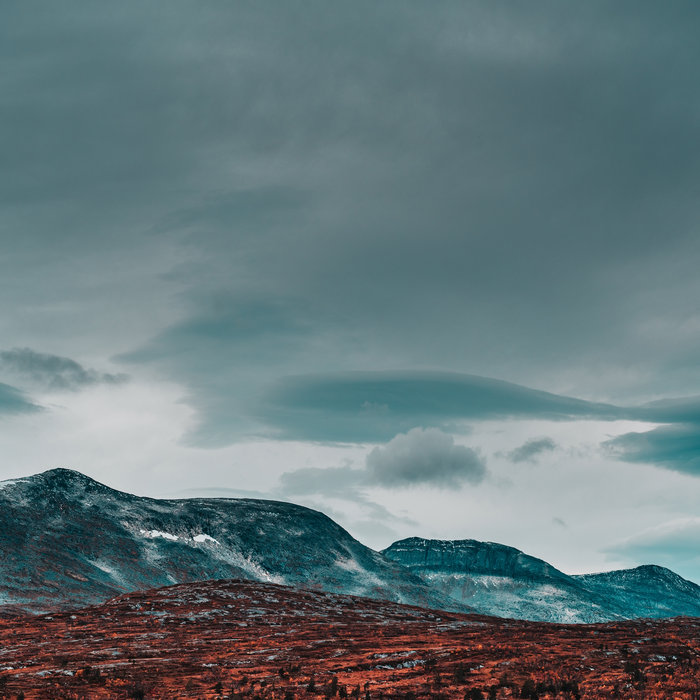 Dedicated to Desolation | Misleading Structures