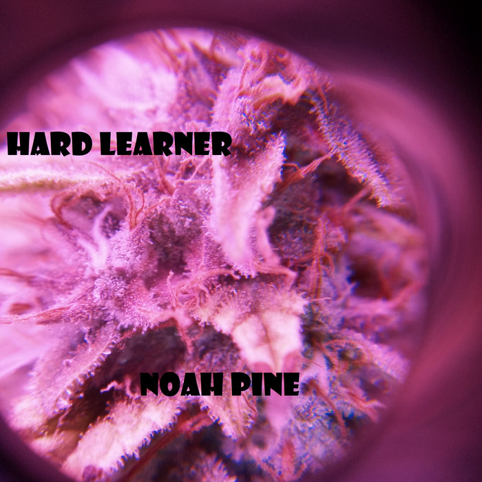 HARD LEARNER | NOAH PINE | noah pine