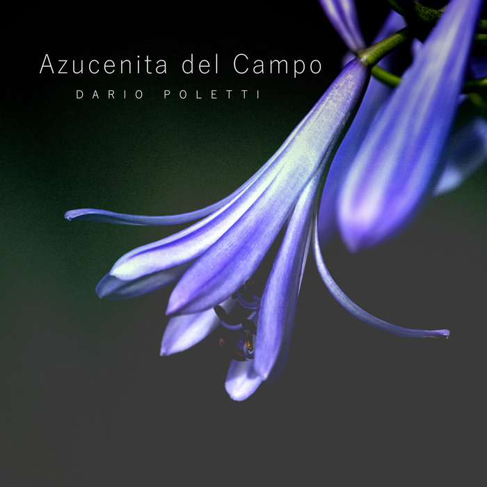 Azucenita del Campo | Darío Poletti