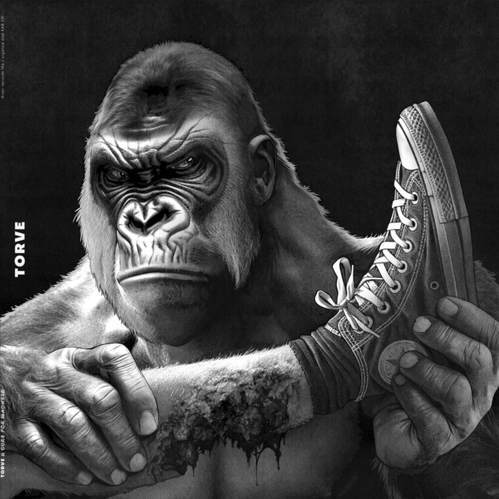 A cure for Madness | TORVE