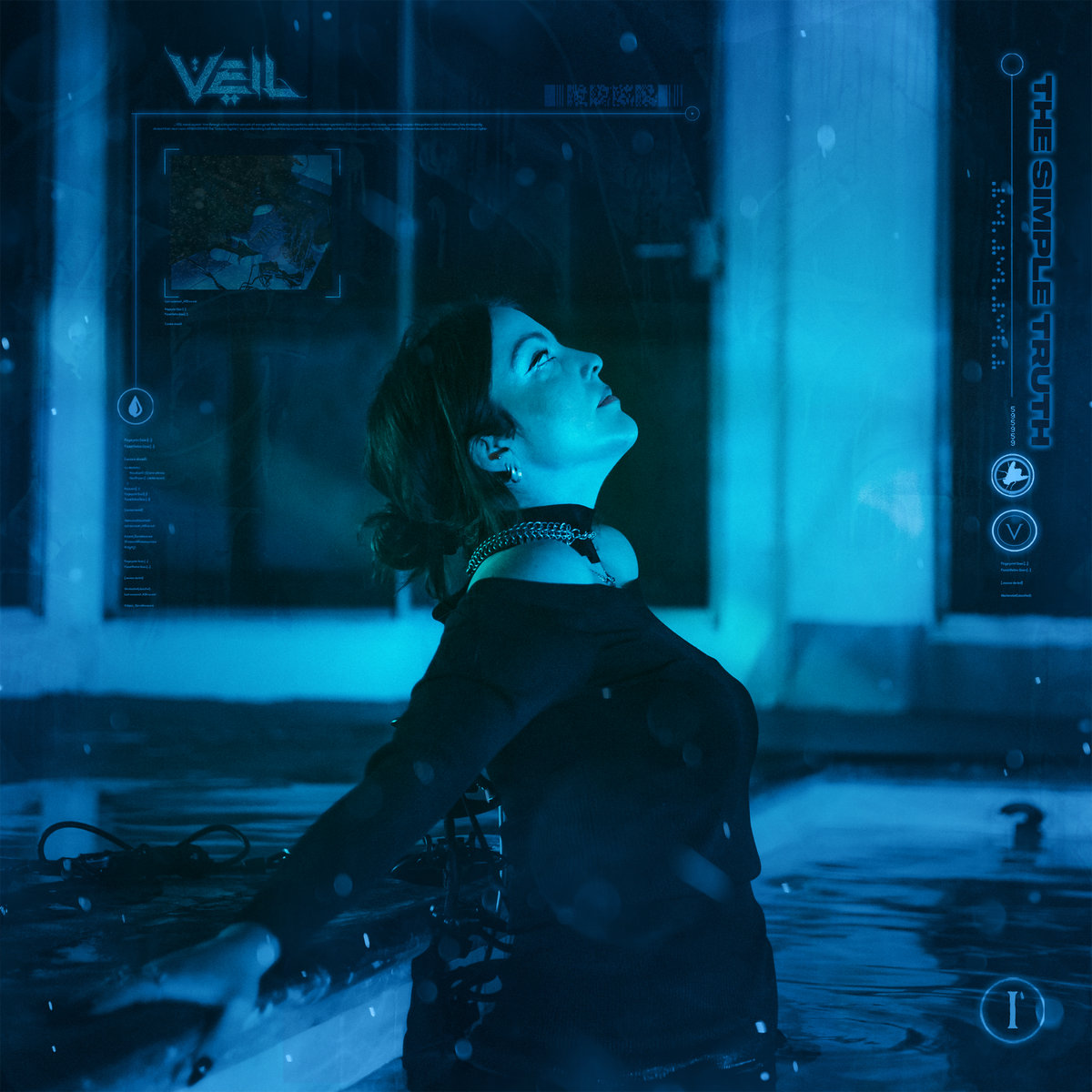 THE SIMPLE TRUTH | VEIL