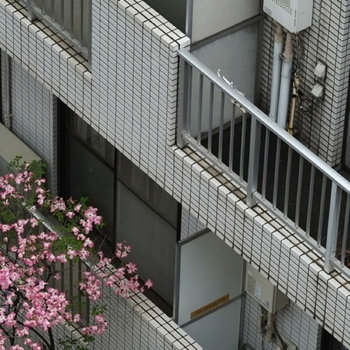 Music | HASAMI group