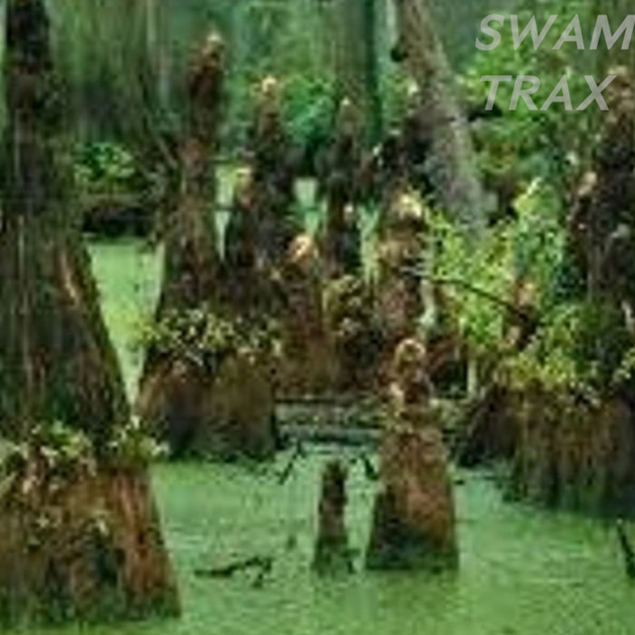 SWAMP TRAX | Dream Thresh