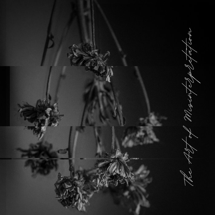 The Art of Misinterpretation | Meadow Drive