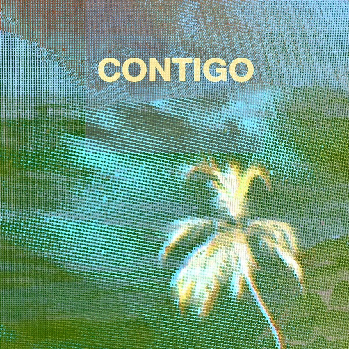 Contigo: Singles and Rarities | Tomo Nakayama
