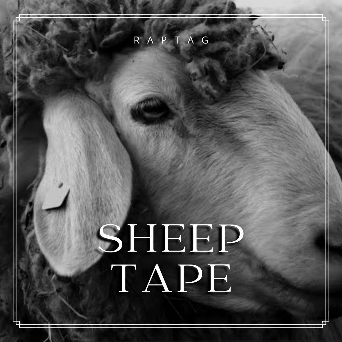 Sheep Tape | Raptag