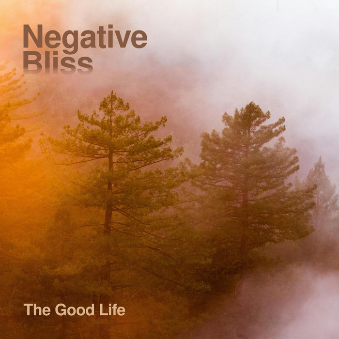 The Good Life (single) | Negative Bliss