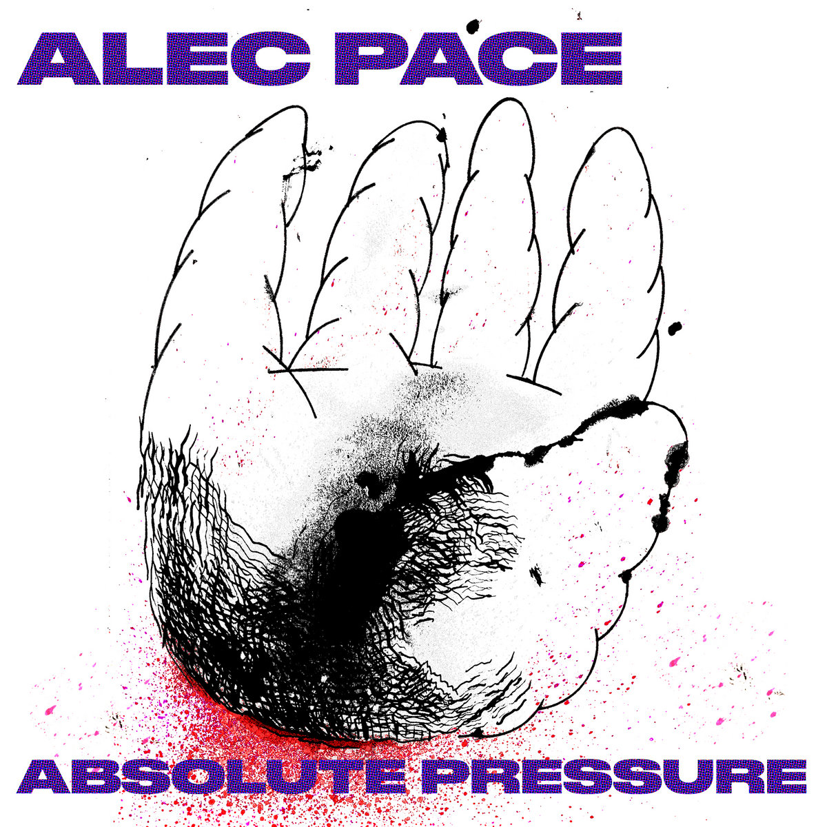 Absolute Pressure | Alec Pace