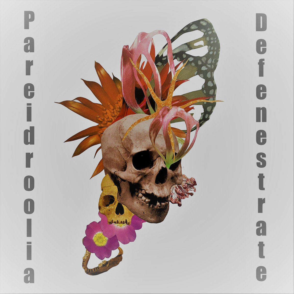 Pareidroolia - Defenestrate | Pareidroolia | Apophenic Audio