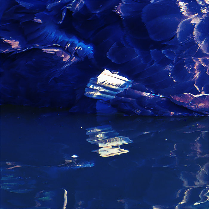 LOLLOPY RADAR | SEVENTH WORLD | Blamstrain