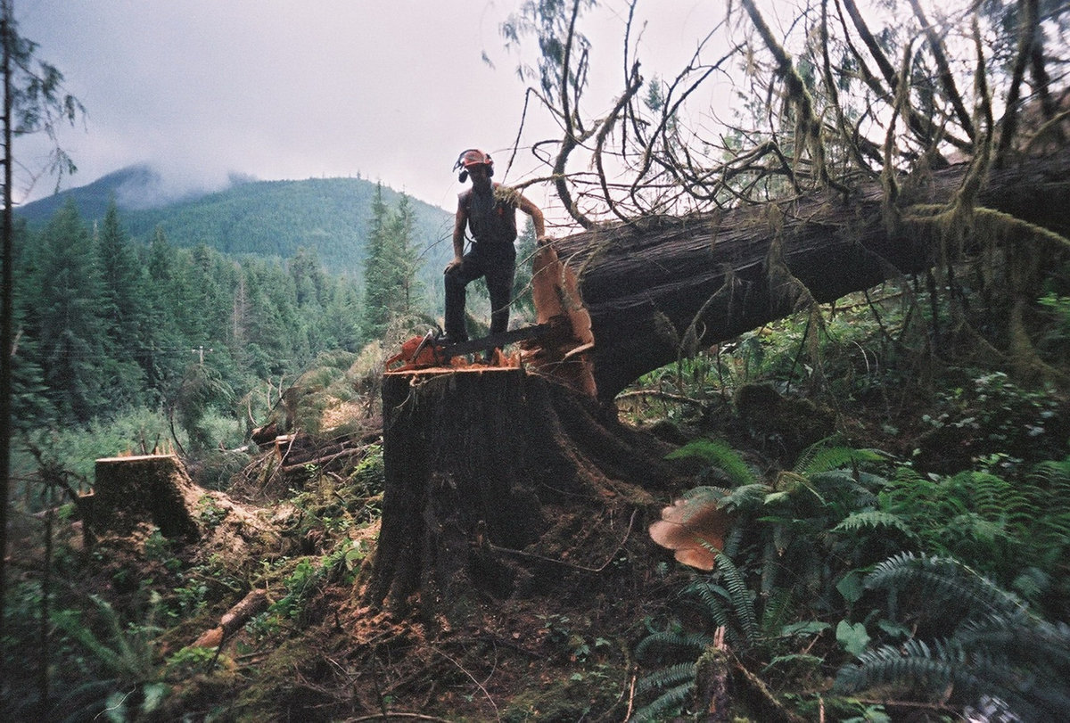 Wood Man | Buckin' Billy Ray