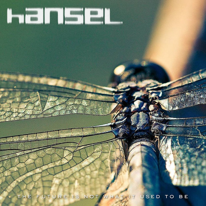 DTRASH212 - The Future Is Not What It Used To Be | HANSEL | D-Trash Records