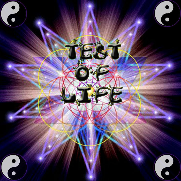 Test of LIFE (Part 2) | Ketatron