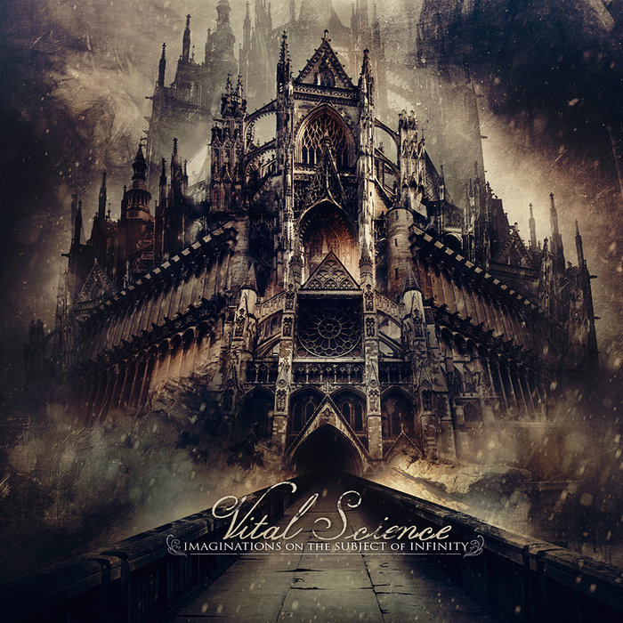 Imaginations on the Subject of Infinity | Vital Science