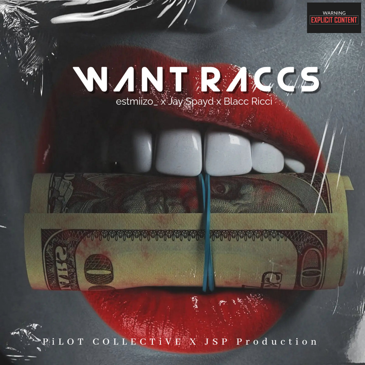Want Raccs (ft. Jay Spayd & Blacc Ricci) | estmiizo_