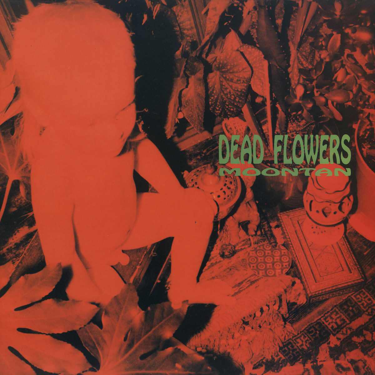 Moontan | Dead Flowers