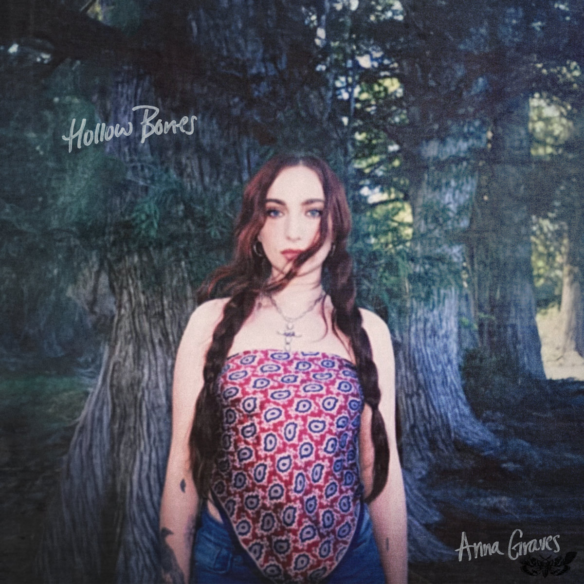 Hollow Bones | Anna Graves