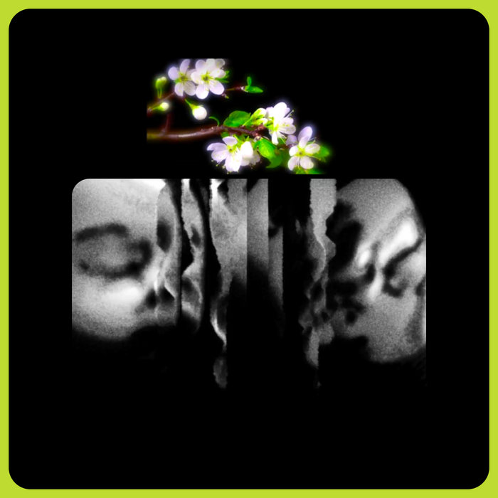 OXYMORONIC | Büch | BÜCH