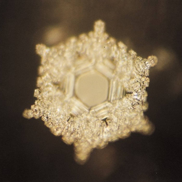 Love and Gratitude (For Dr. Masaru Emoto) | Kristin Hoffmann