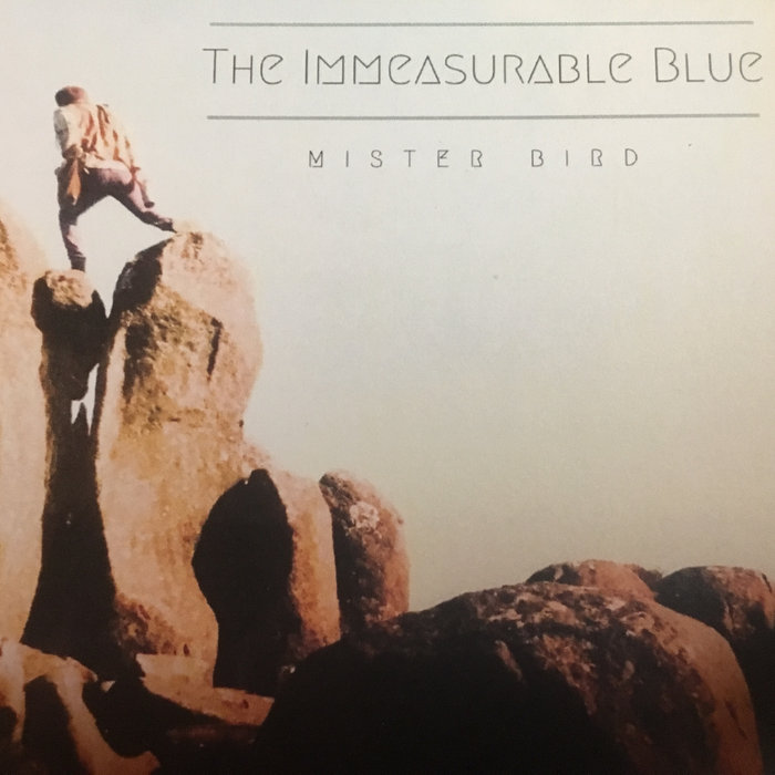 The Immeasurable Blue | mister bird