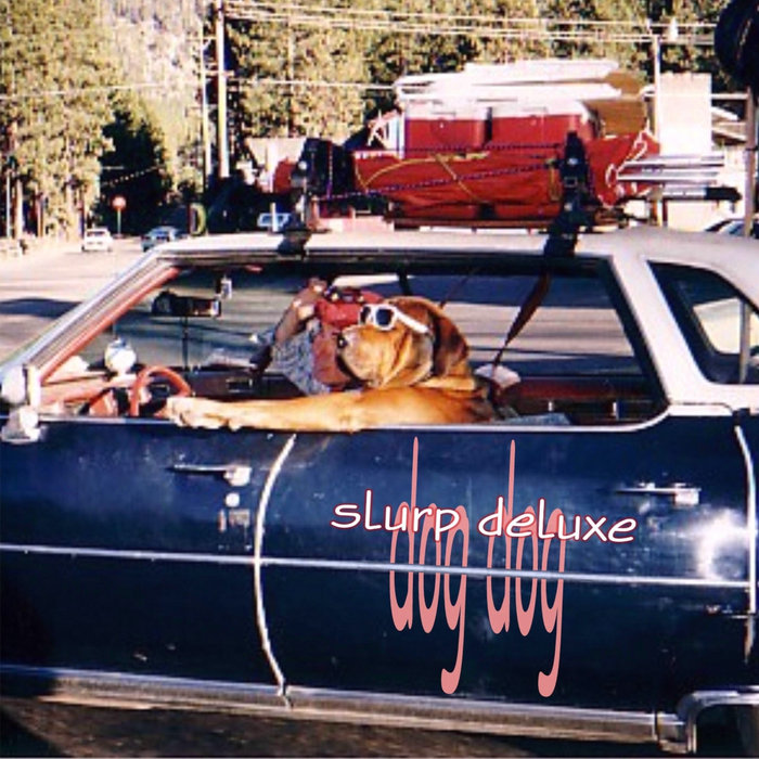 Dog Dog | Slurp Deluxe