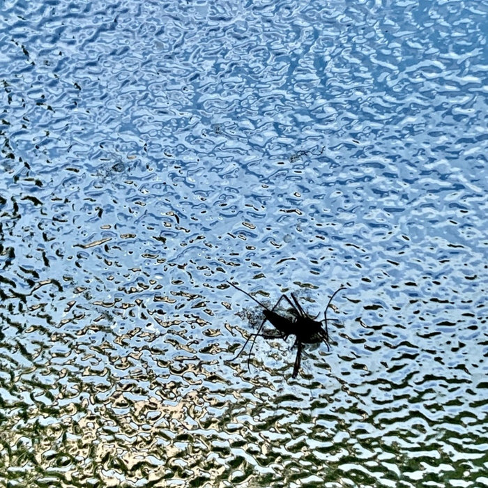 SpaceTrax 15 Big Bang | Virgo Ascendent | Analog Space Trax