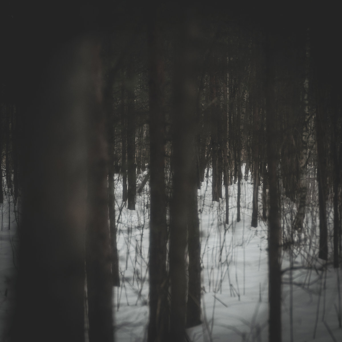 tekabm | Axel Vonamata | rusitch net label