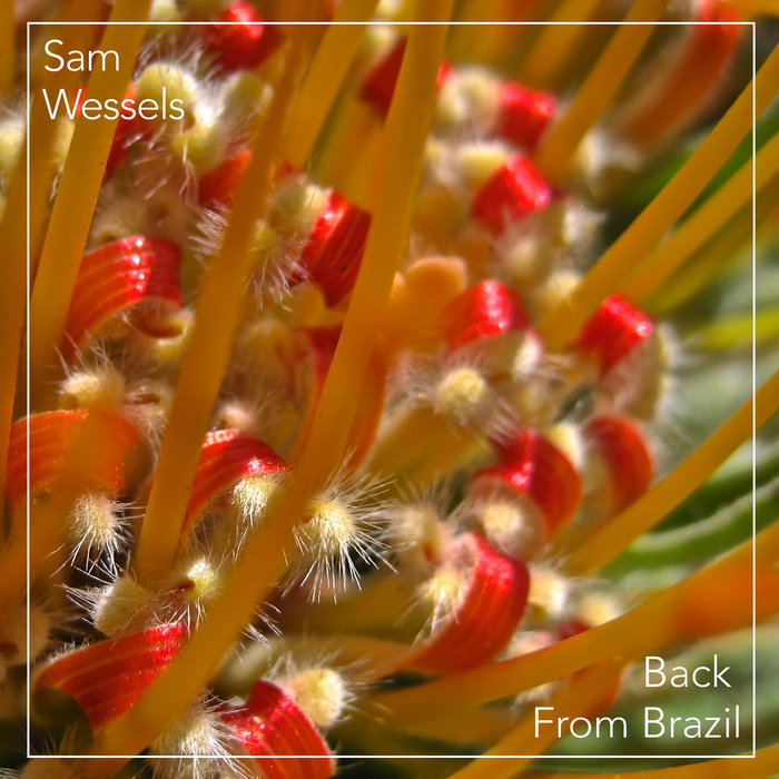 5. Back From Brazil | Sam Wessels | sam wessels
