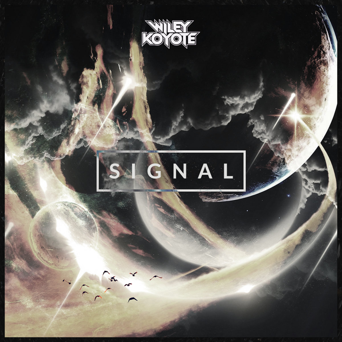 Signal | Wiley Koyote