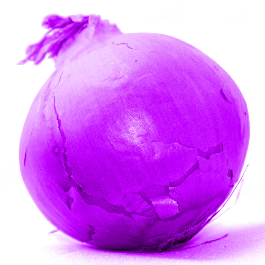 purple onion | Purple Onion